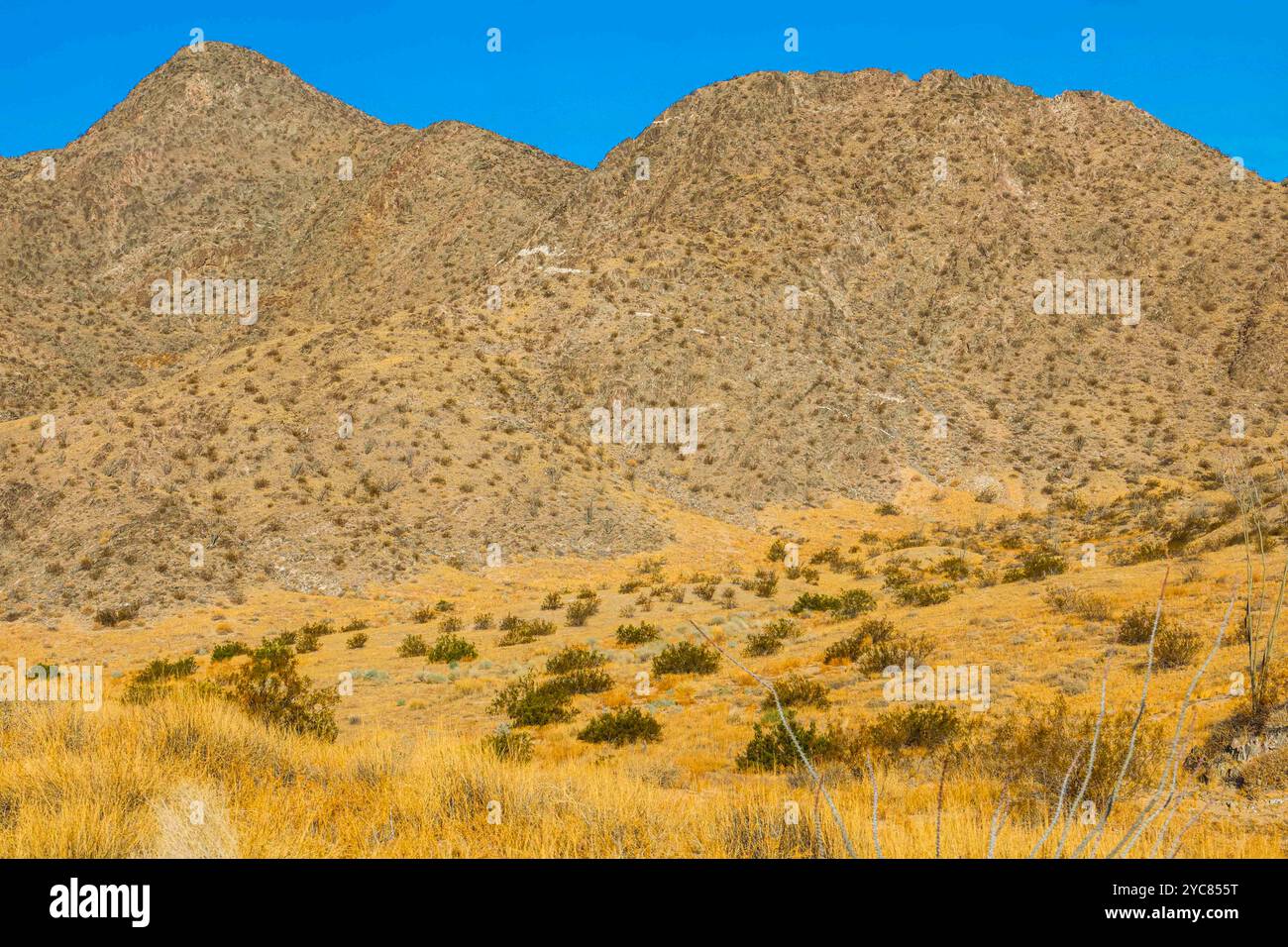 Mountain and valley of grassland, dry scrubland among other desert ...