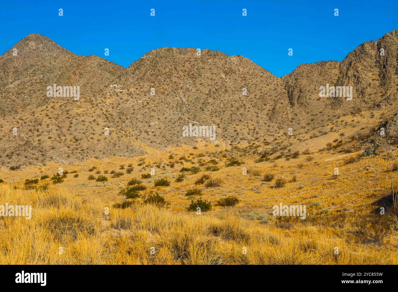 Mountain and valley of grassland, dry scrubland among other desert ...