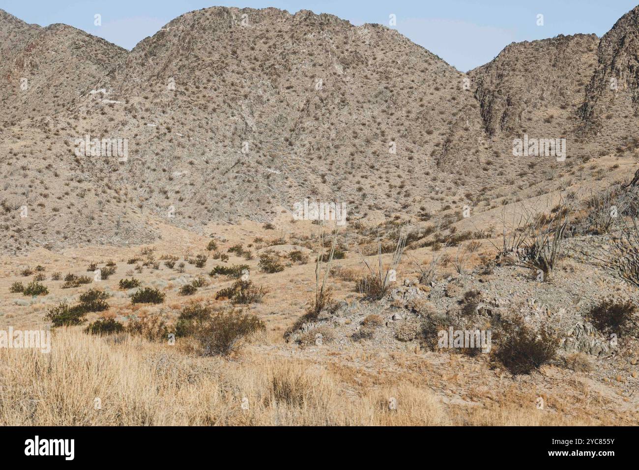 Mountain and valley of grassland, dry scrubland among other desert ...