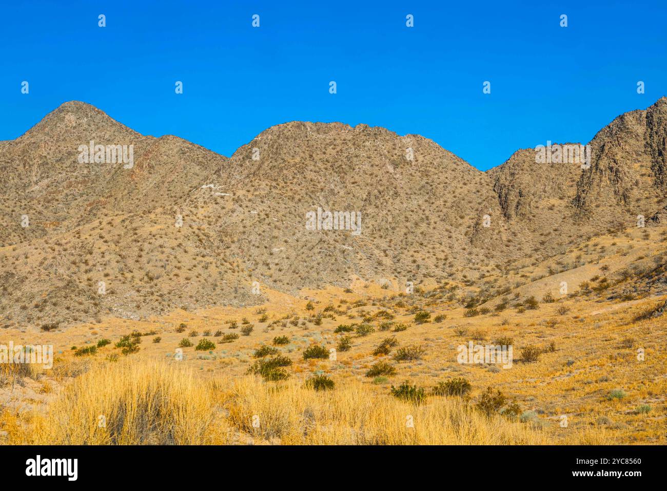 Mountain and valley of grassland, dry scrubland among other desert ...
