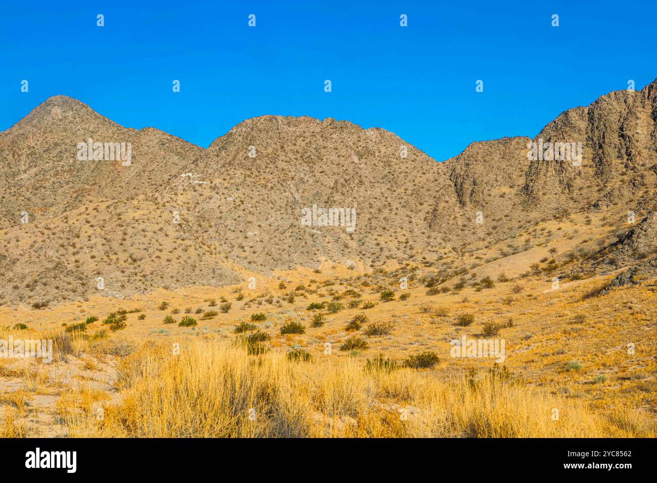 Mountain and valley of grassland, dry scrubland among other desert ...