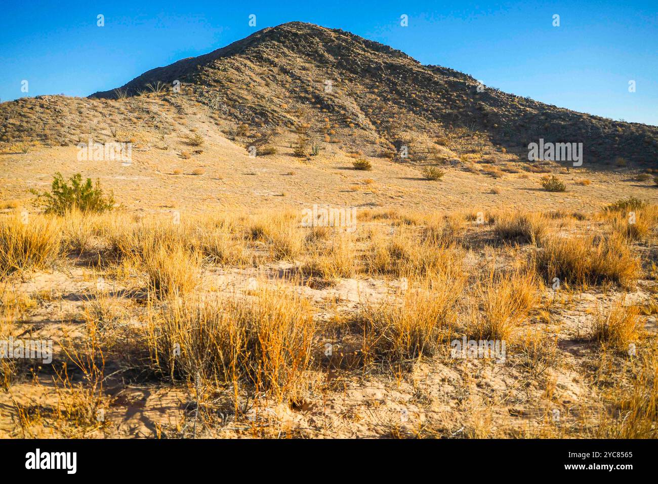 Mountain and valley of grassland, dry scrubland among other desert ...