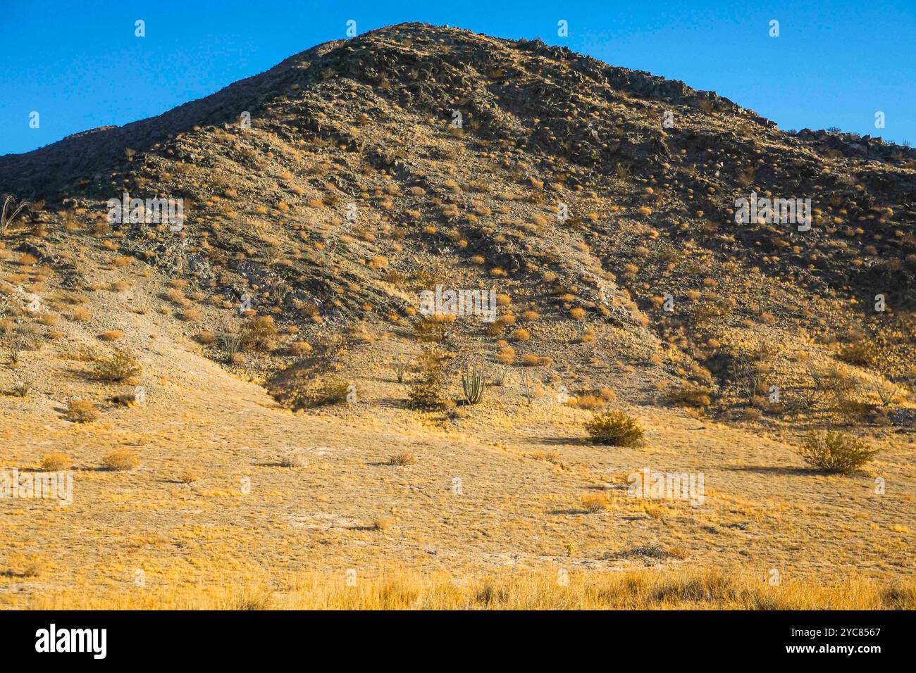 Mountain and valley of grassland, dry scrubland among other desert ...