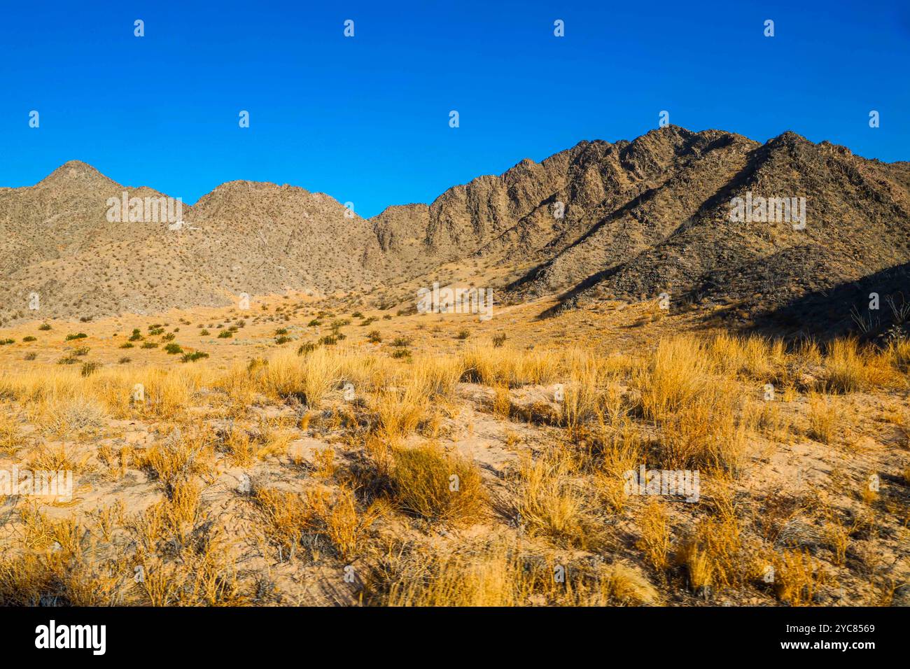 Mountain and valley of grassland, dry scrubland among other desert ...