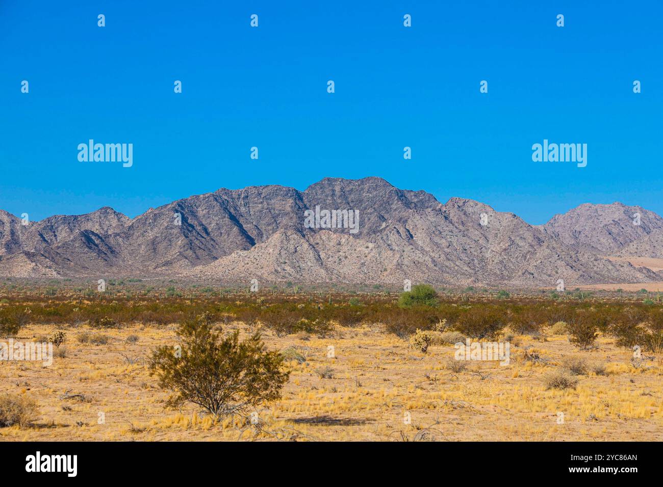 Mountain and valley of grassland, dry scrubland among other desert ...