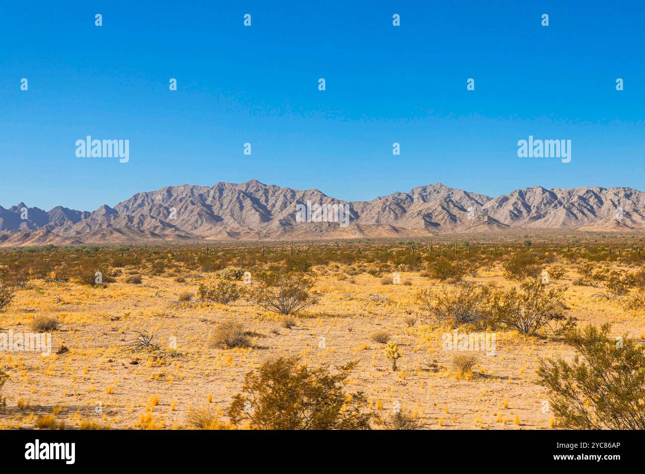 Mountain and valley of grassland, dry scrubland among other desert ...