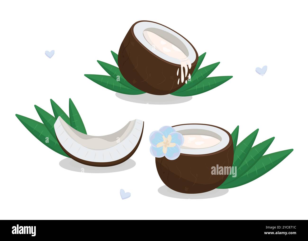Three coconuts set, nuts with palm leaves, flower, milk and hearts ...