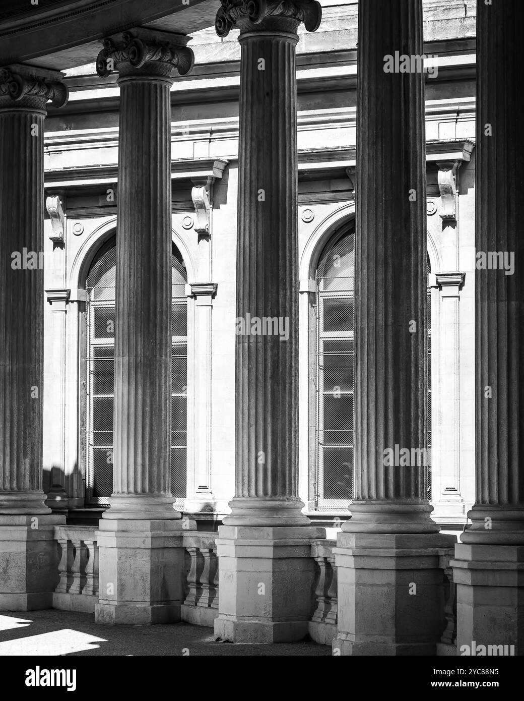 Columns linear Black and White Stock Photos & Images - Alamy