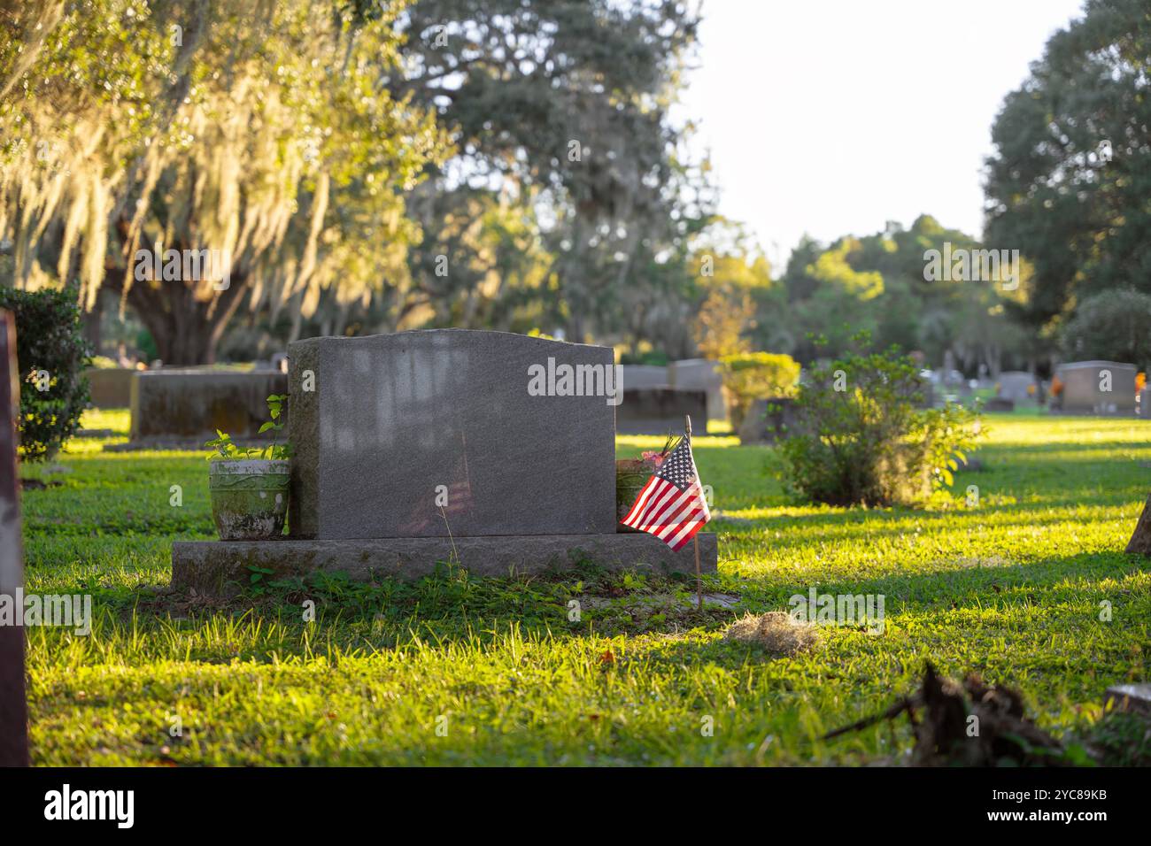Old cemetery with grave stones under oak trees on green grass lawn in ...