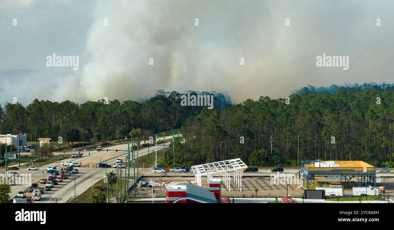 Florida firefighter forest hi-res stock photography and images - Alamy
