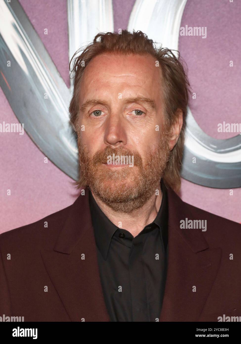 Actor Rhys Ifans attends the premiere of "Venom: The Last Dance" at ...
