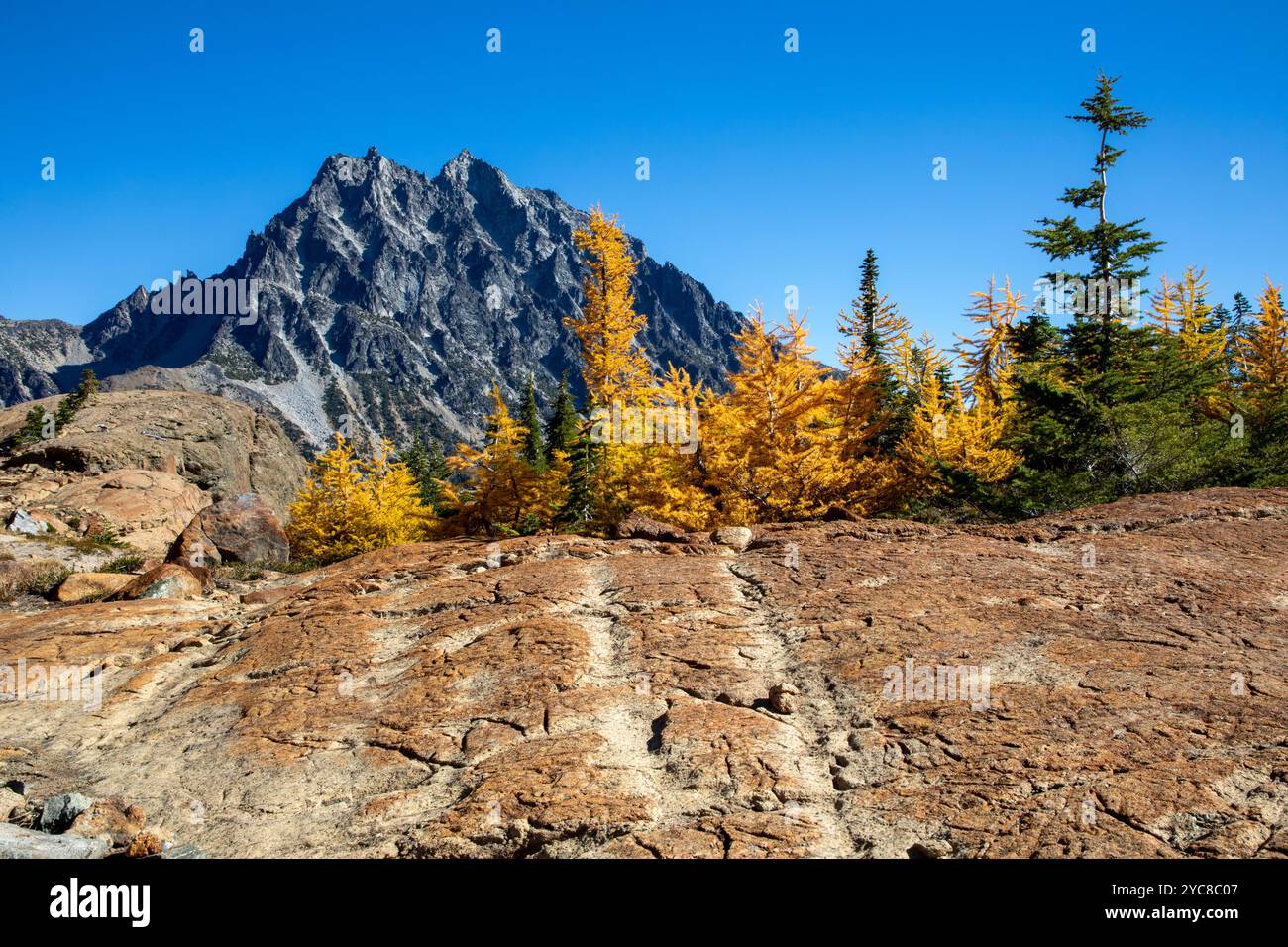 WA25826-00...WASHINGTON - Glaicer stirations on rock, brightened by a ...