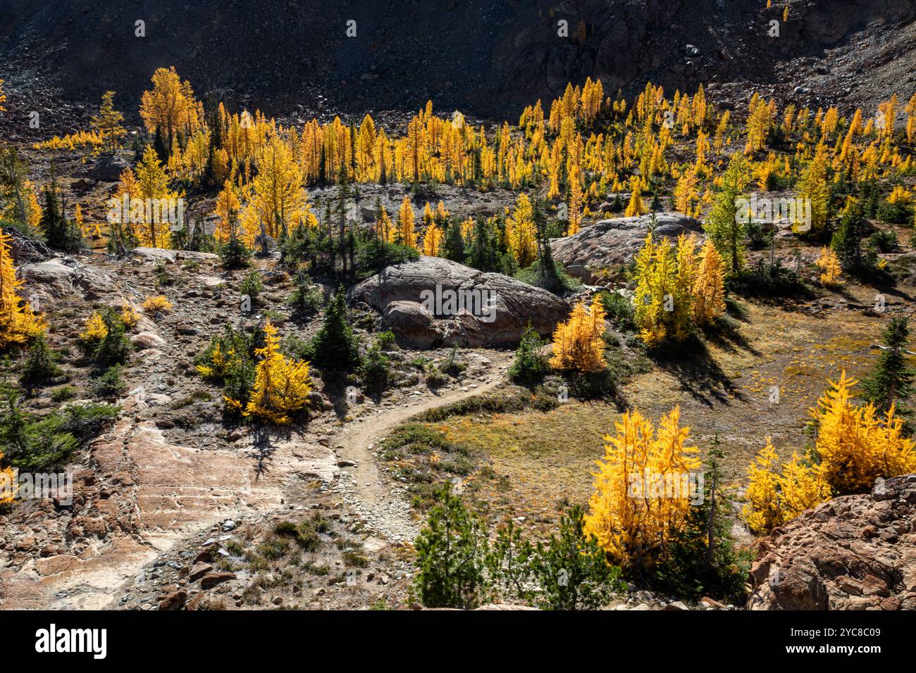 Larch viewing area hi-res stock photography and images - Alamy