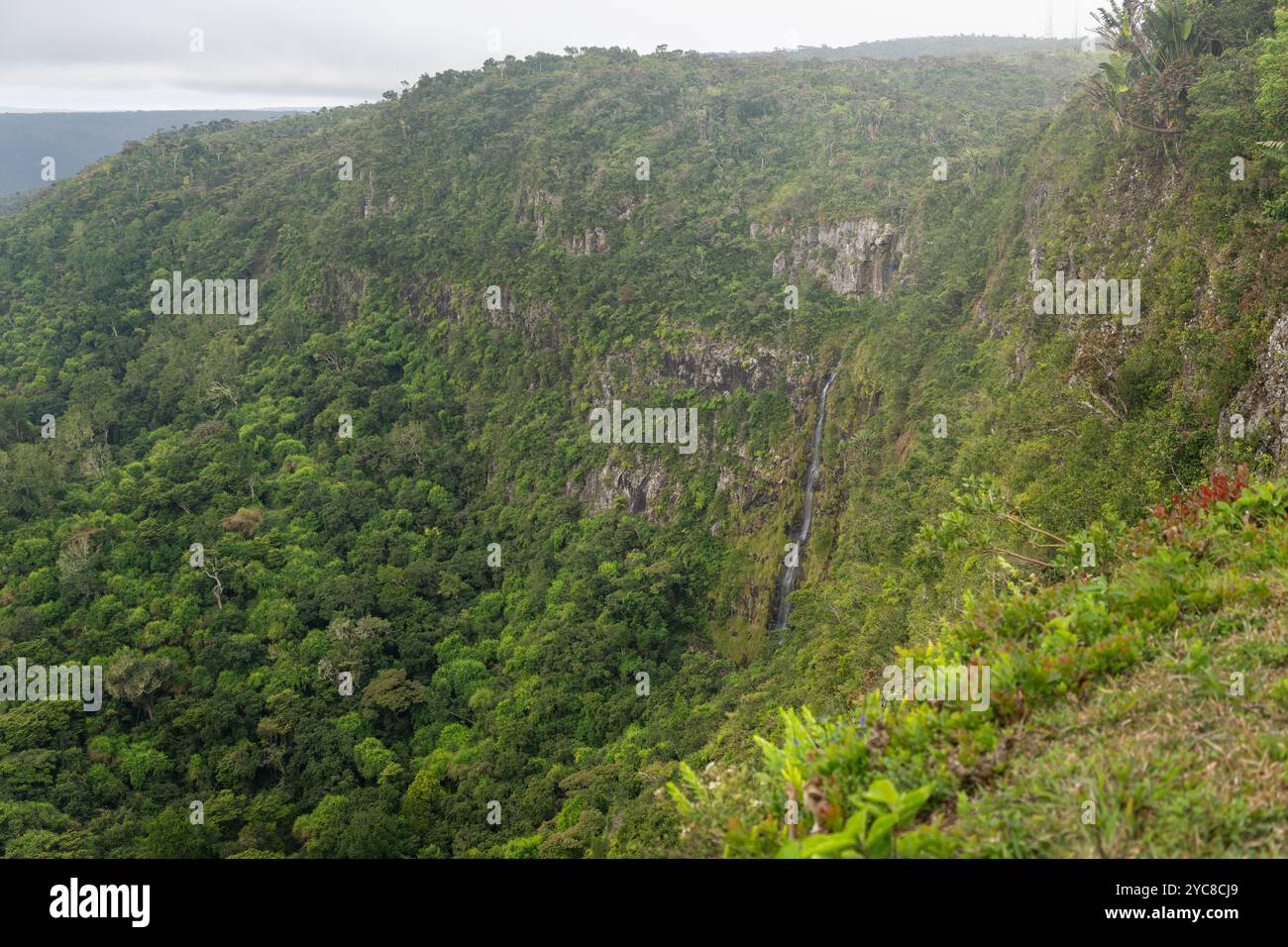 The majestic Chamarel Falls cascade down a steep cliff, surrounded by ...
