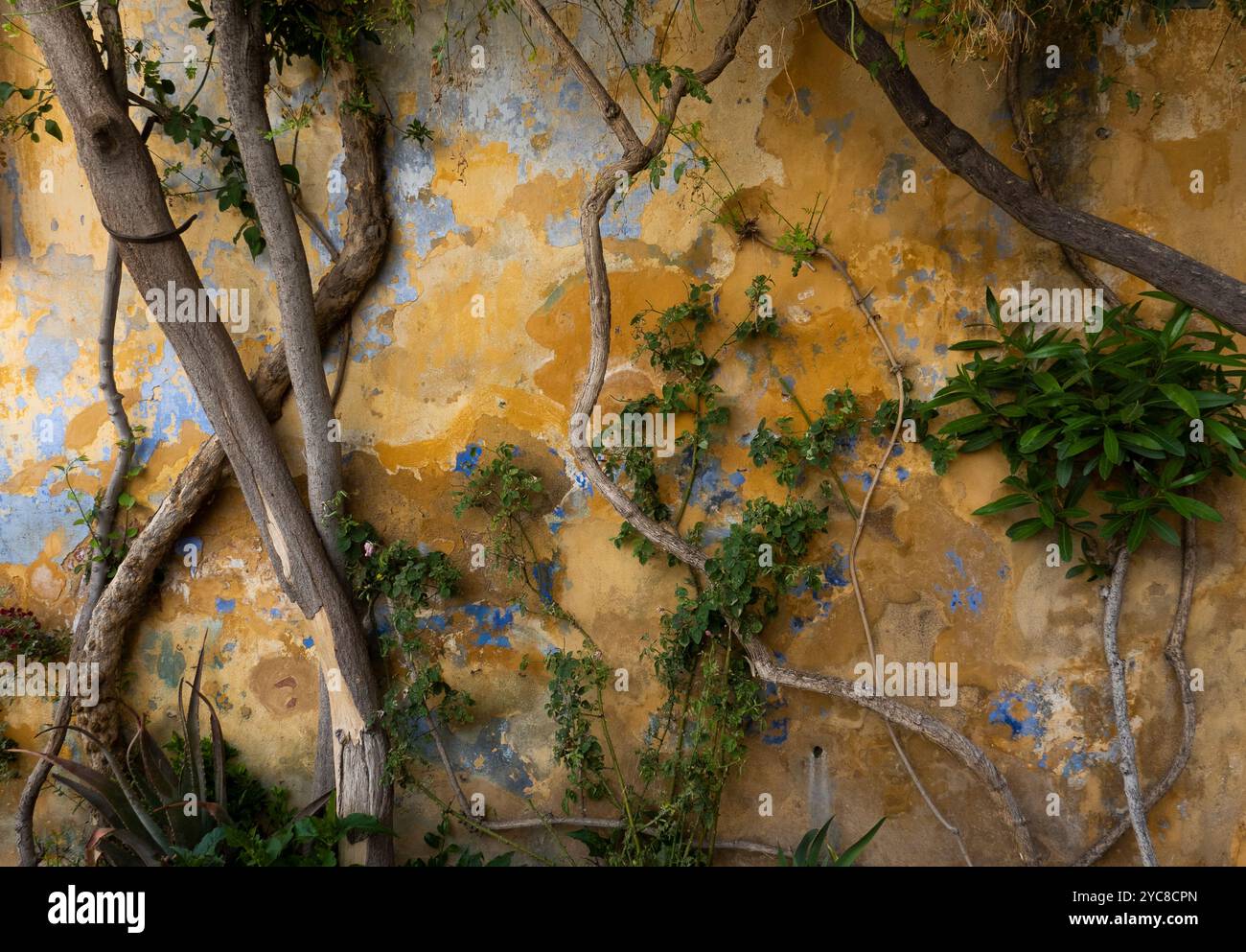 Wall of a house in the village of Anafiotika, below the parthenon in ...