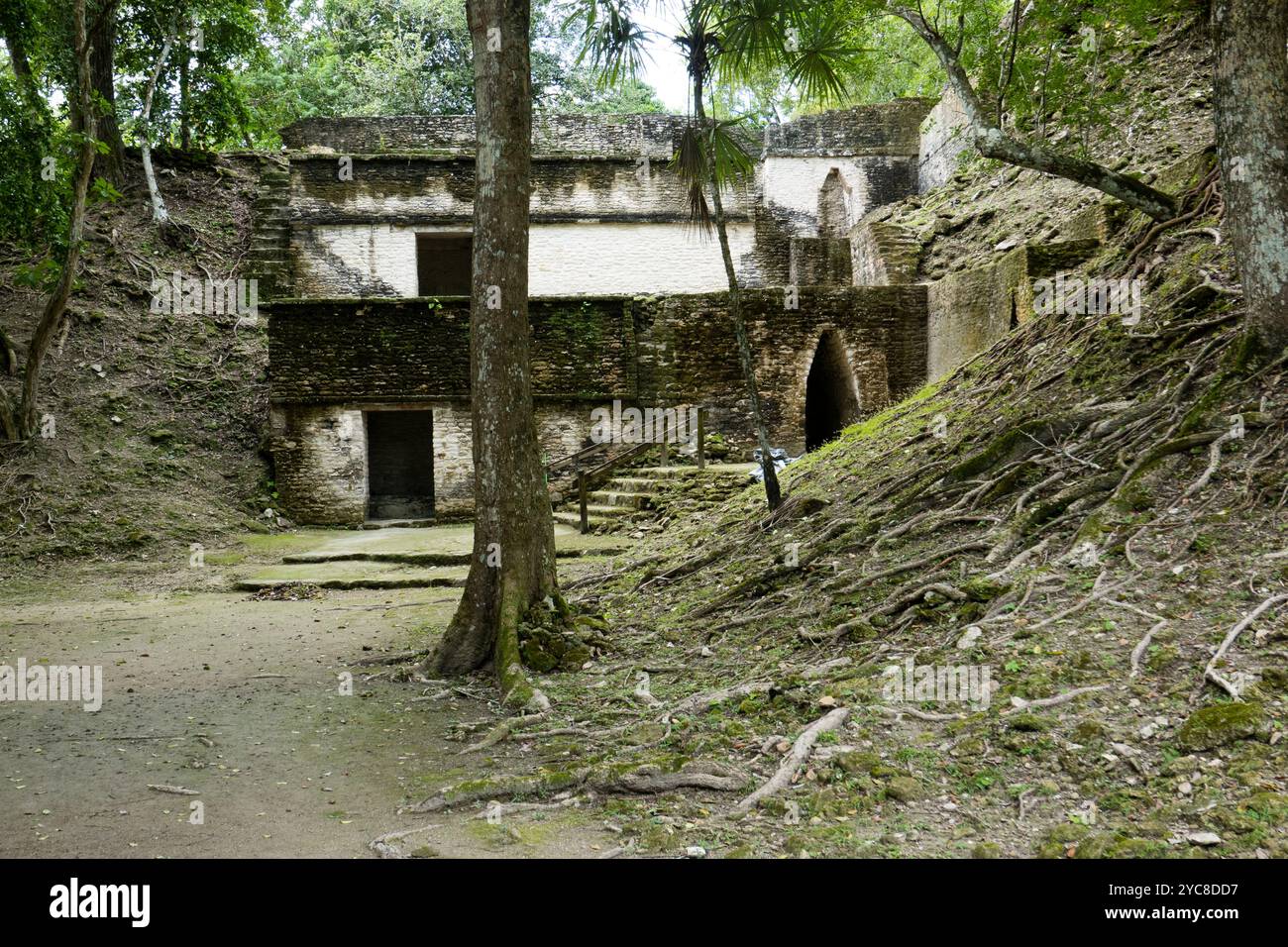 Cahal Pech Maya ruins in San Ignacio, Belize Stock Photo - Alamy