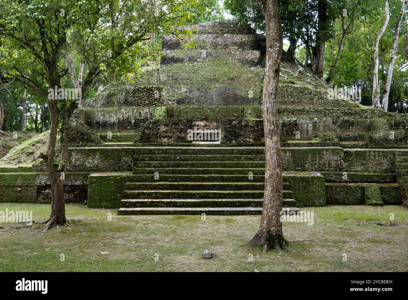 Cahal Pech Maya ruins in San Ignacio, Belize Stock Photo - Alamy