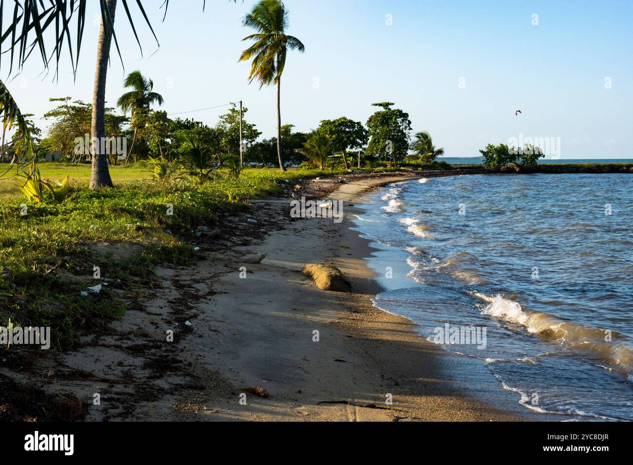 Caribbean shore at Dangriga, Belize Stock Photo - Alamy