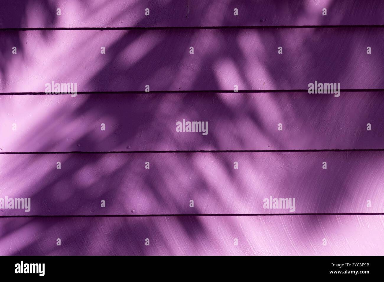 Wall of a cabin at Paradise Tobacco Caye Resort on Tobacco Caye, Belize ...