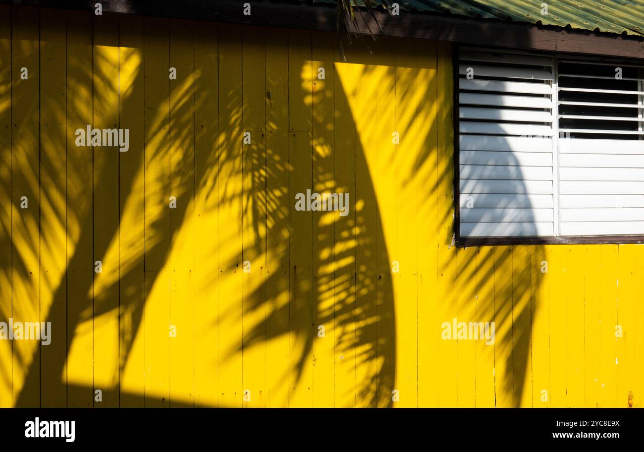 Wall of a cabin at Paradise Tobacco Caye Resort on Tobacco Caye, Belize ...