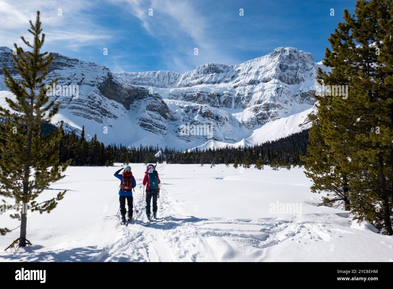 Back country skiing in Banff National Park, Alberta, Canada Stock Photo ...