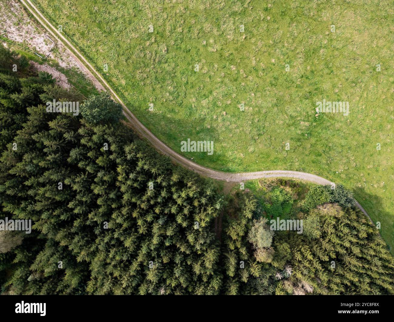 A stunning aerial view shows a vibrant green forest landscape with a ...