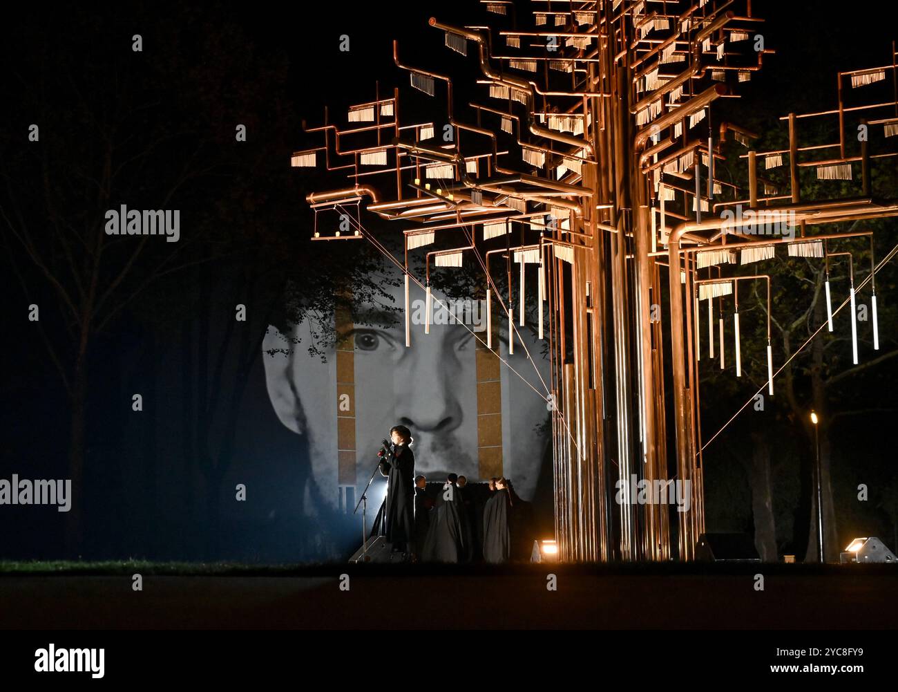 Non Exclusive: ZAPORIZHZHIA, UKRAINE - OCTOBER 18, 2024 - The Tree of ...