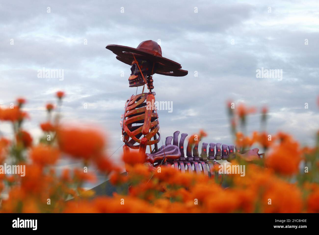 Atlixco, Mexico. 21st Oct, 2024. A cardboard monumental catrina is seen ...