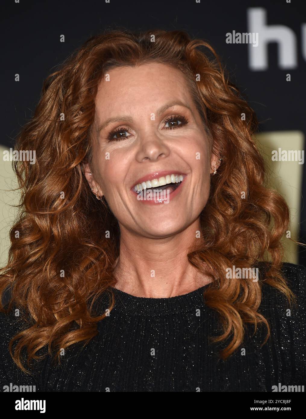 Los Angeles, USA. 21st Oct, 2024. Robyn Lively arriving to “Road Diary ...
