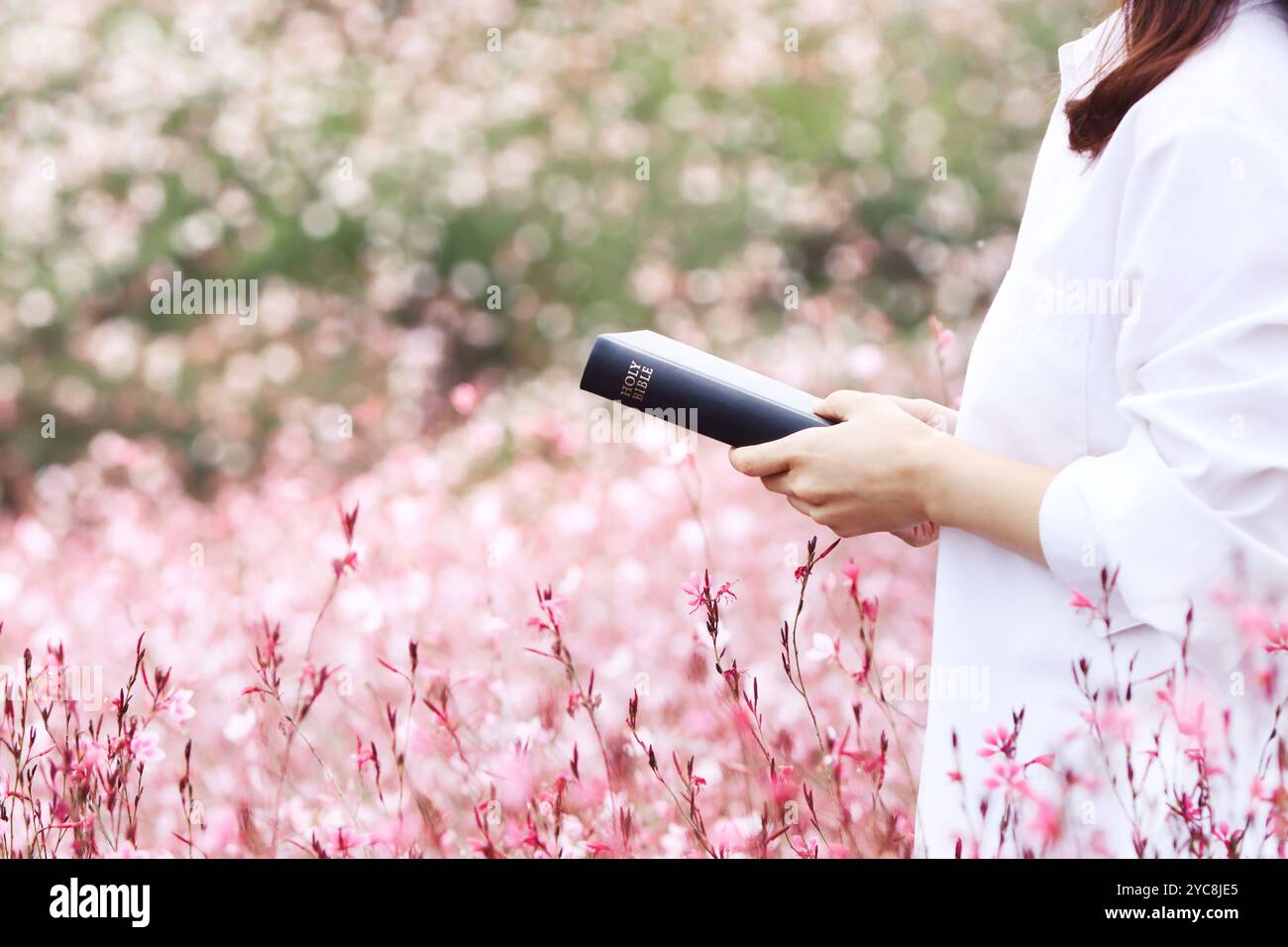 Christian praying with holy bible in beautiful flower field, gospel and ...