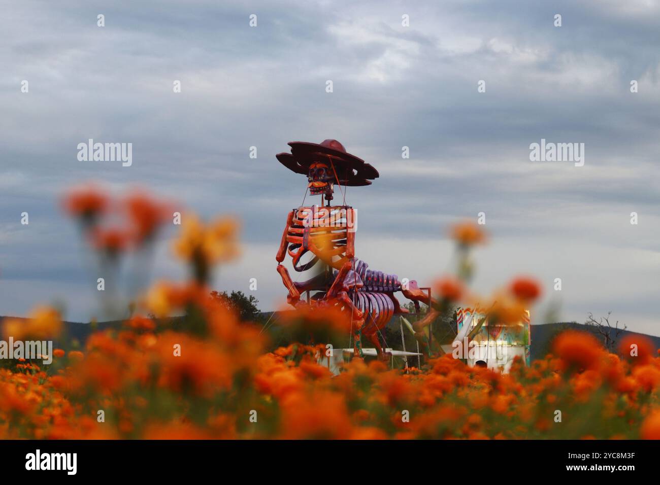 Atlixco, Pueblo, Mexico. 21st Oct, 2024. A cardboard monumental catrina ...