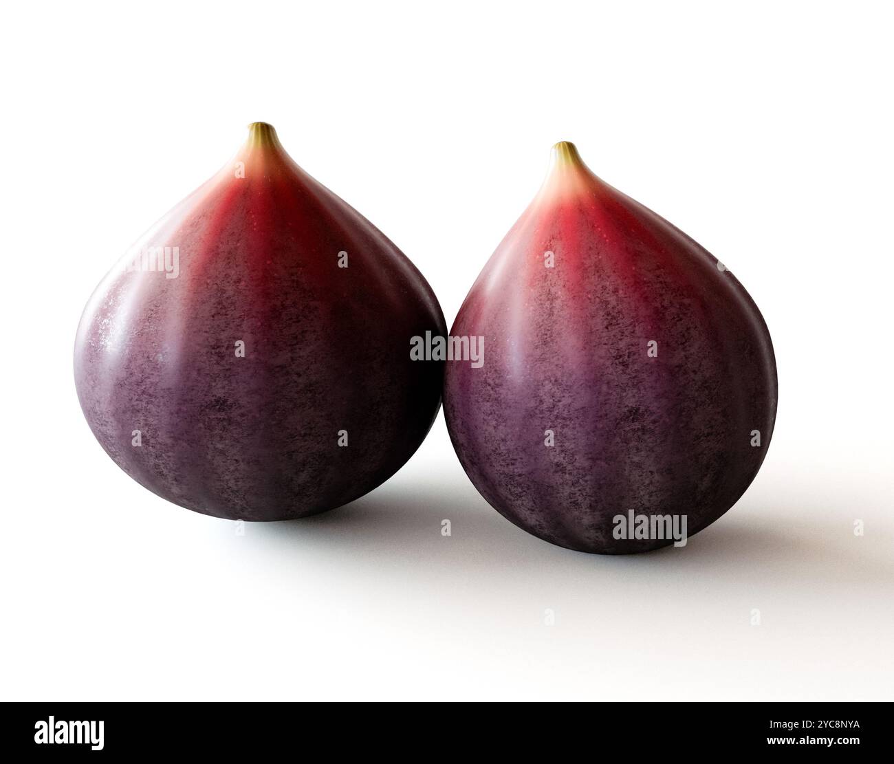 A pair of ripe fig fruits on an isolated white background - 3D render ...