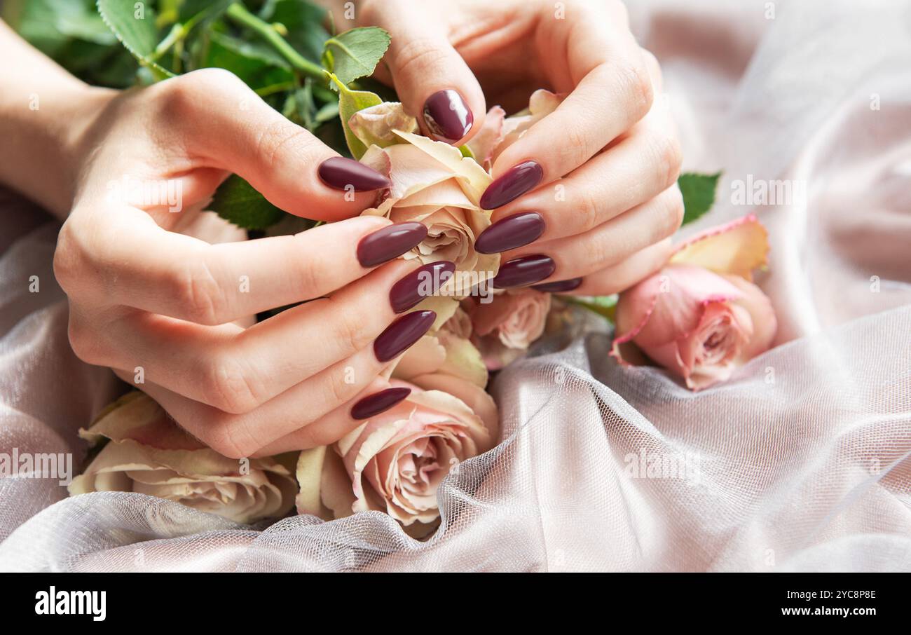 Delicate hands with stylish purple nails gently handle soft pink roses ...