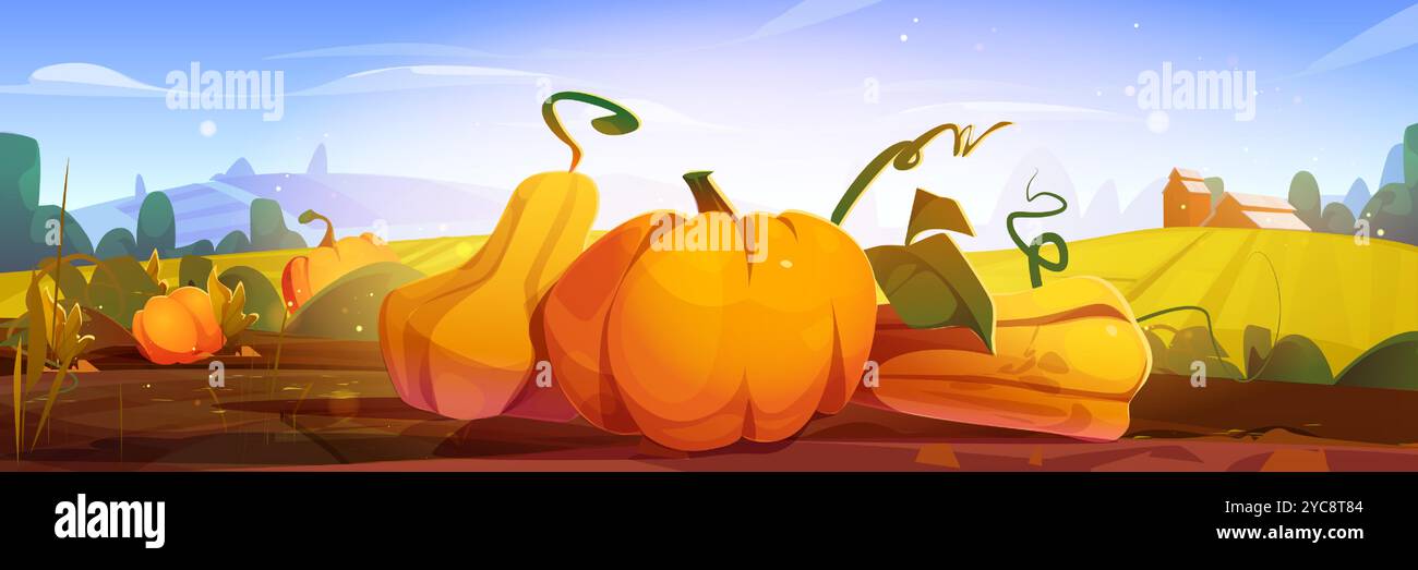 Autumn farm field landscape with ripe orange pumpkins on ground, hills ...
