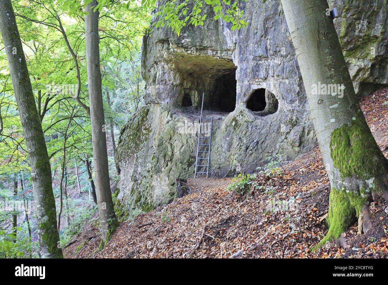 The rock castle near Emmendorf is a naturally formed natural stone arch ...