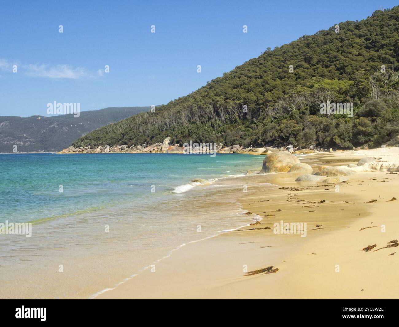 Another beautiful sandy beach at North Waterloo Bay, Wilsons Promontory ...