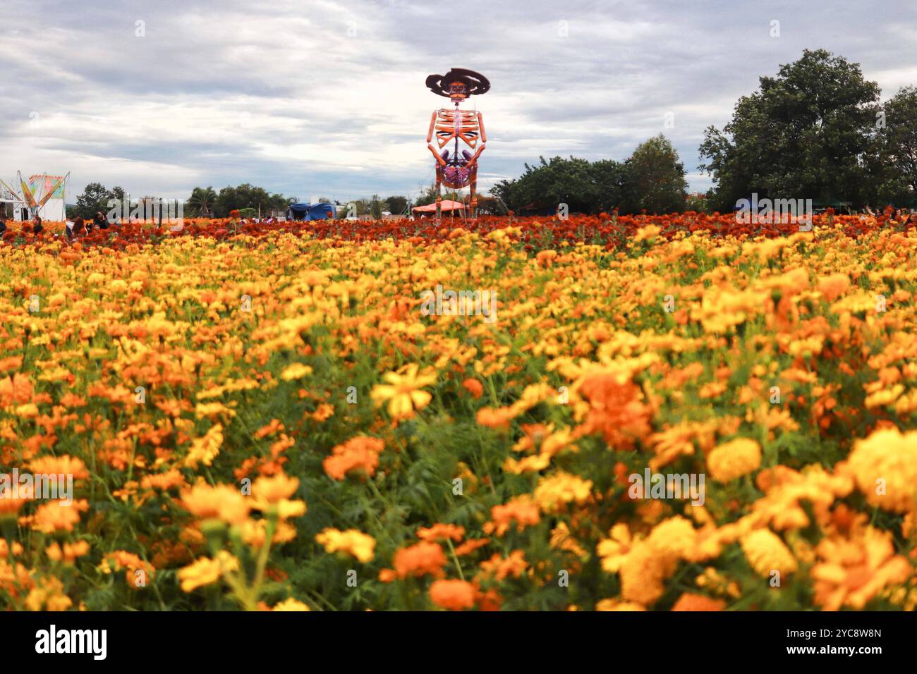 Atlixco Monumental Catrinas Exhibition A cardboard monumental catrina ...