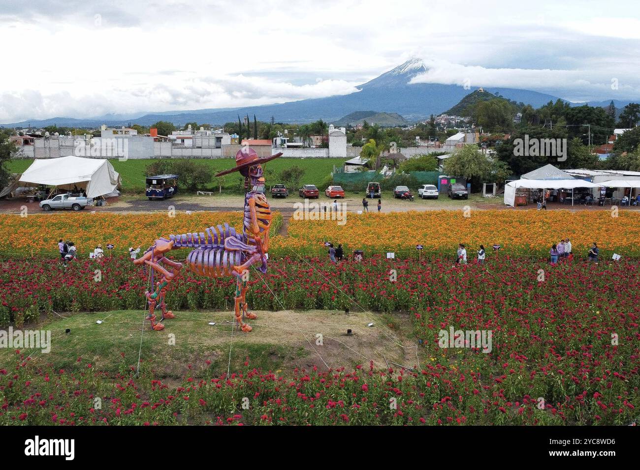 Atlixco Monumental Catrinas Exhibition A cardboard monumental catrina ...