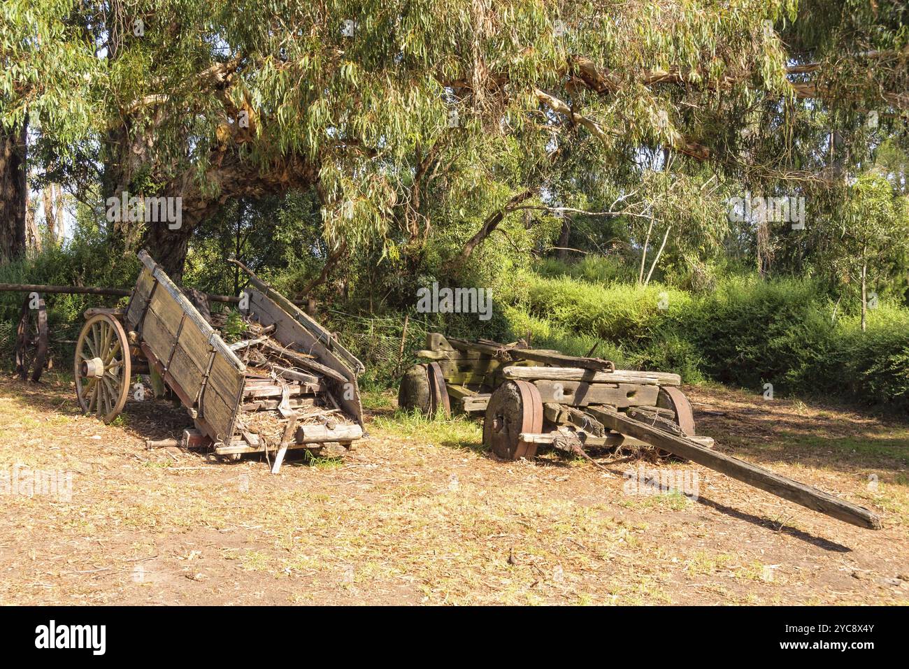 Old farm carts, Nyerimilang, Victoria, Australia, Oceania Stock Photo ...