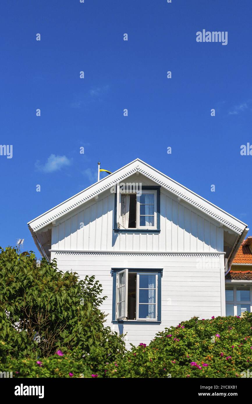 House open windows rose hi-res stock photography and images - Alamy