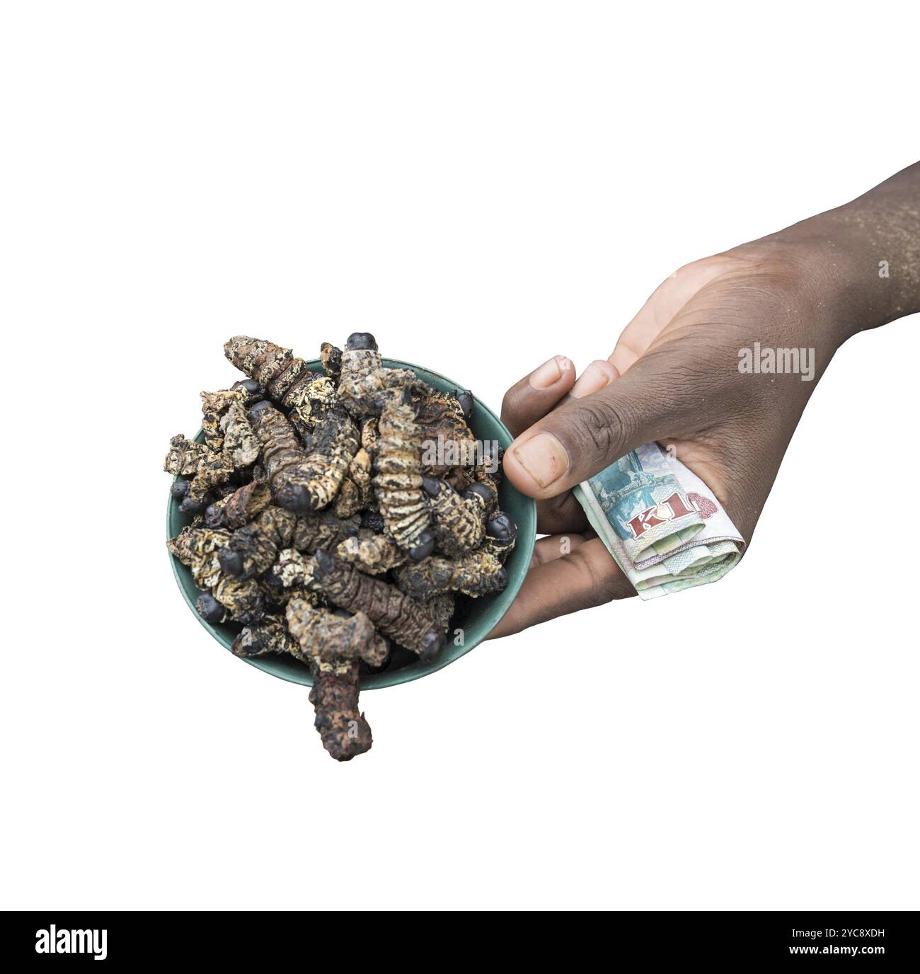 Isolated left hand with bills and small bowl of roasted mopane ...