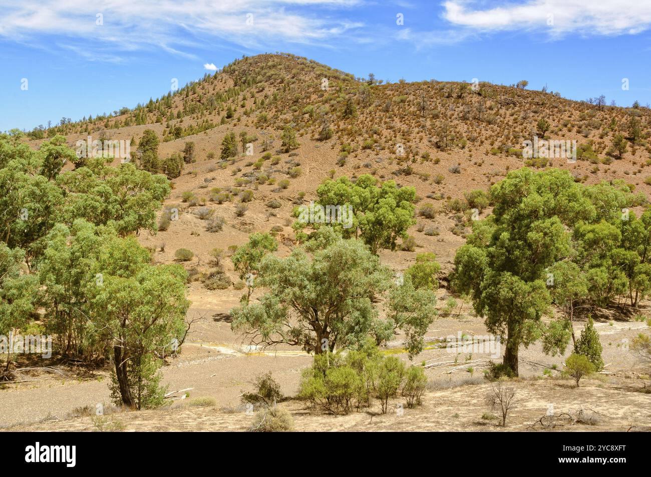 Dry creek bed in Wilpena Pound, Flinders Ranges, SA, Australia, Oceania ...