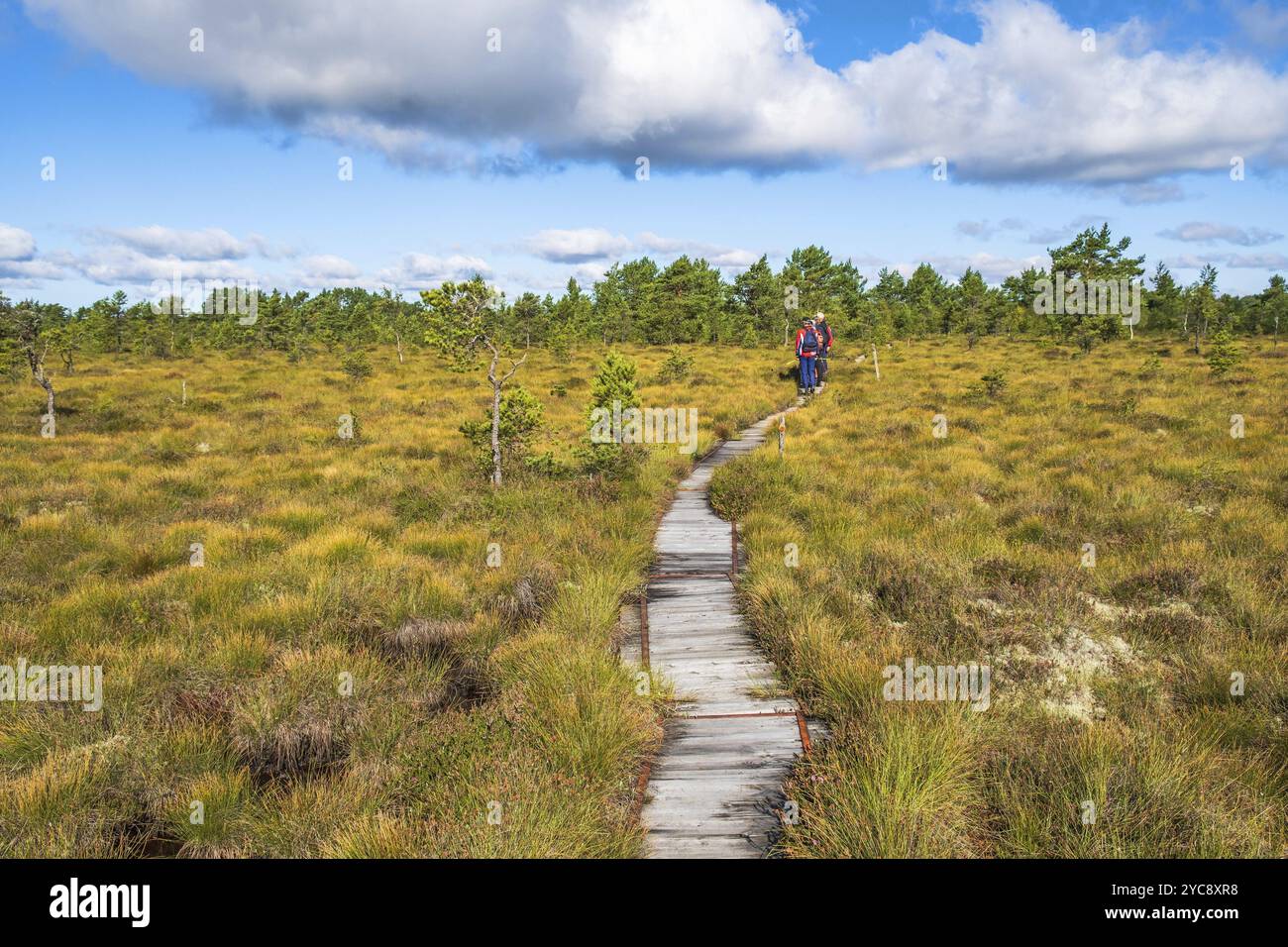 Raised lowland bog hi-res stock photography and images - Alamy