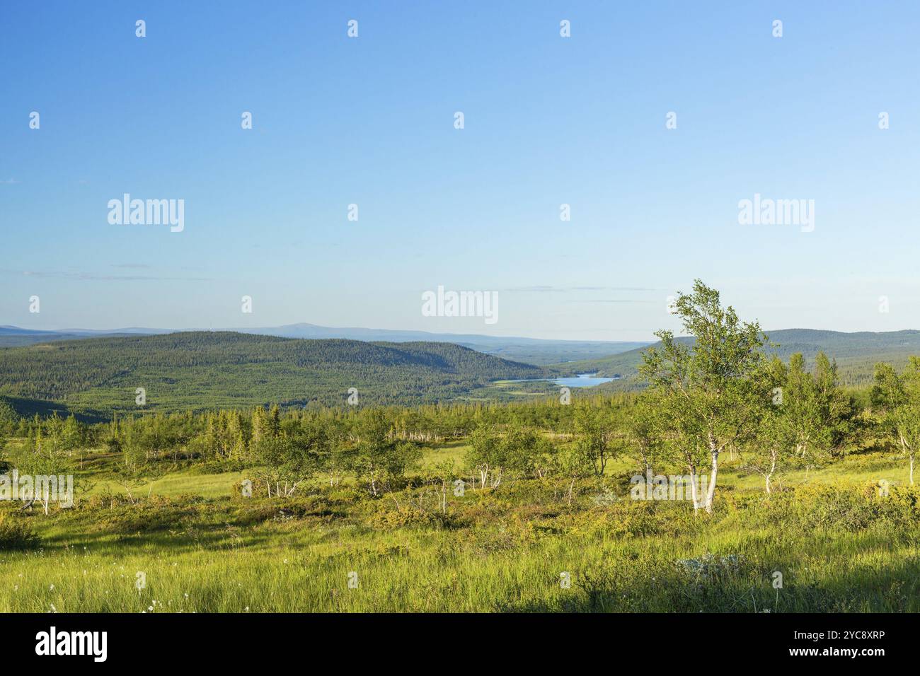 Aerial landscape view in hi-res stock photography and images - Alamy