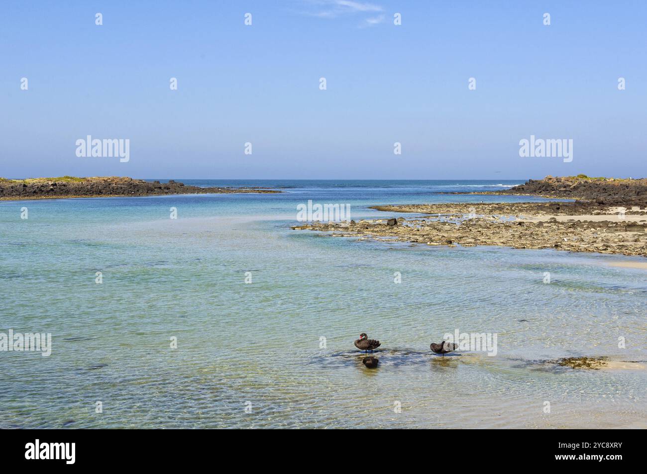 Shallow water between Griffiths Island and the mainland, Port Fairy ...