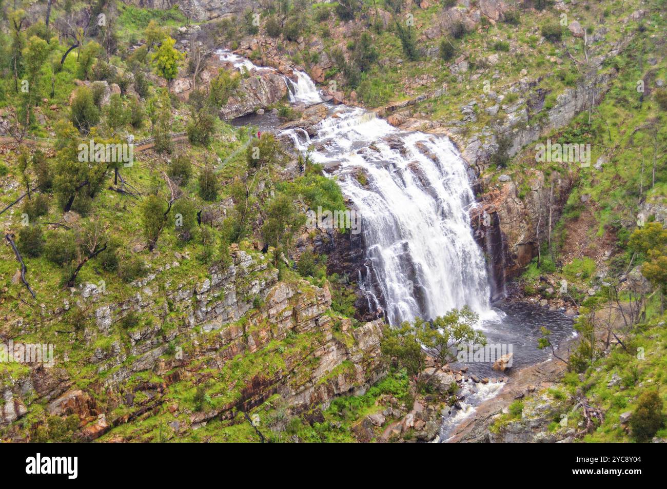 MacKenzie Falls is a popular tourist attraction in the Grampians ...
