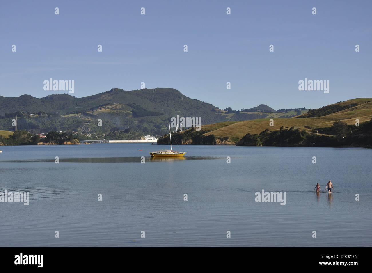 New zealand dunedin and harbour hi-res stock photography and images - Alamy
