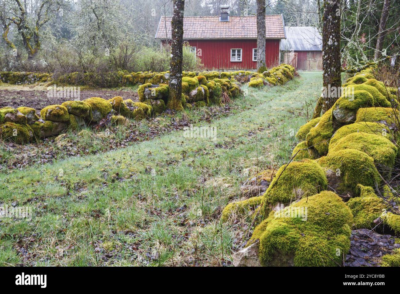 Outdoor scenery and stonewall hi-res stock photography and images - Alamy