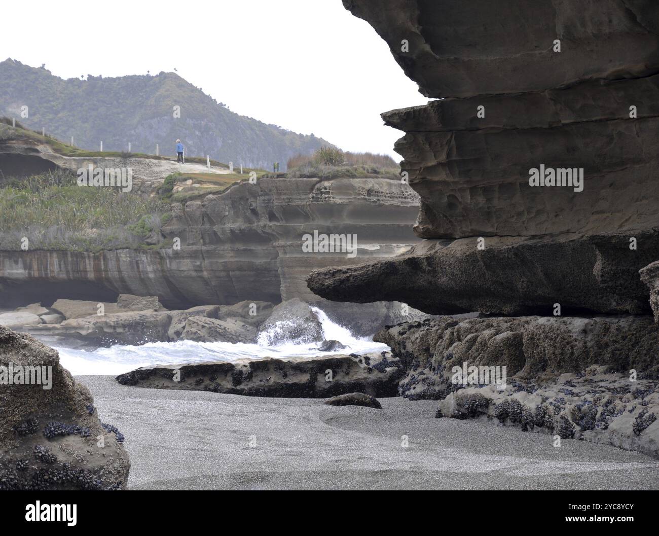 Limestone erosion at the Truman Track, Paparoa National Park, West ...