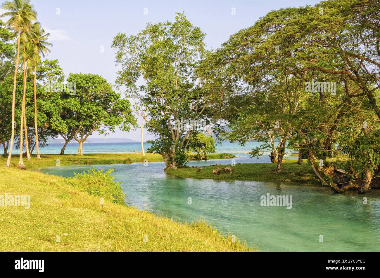 Fresh water flows from the blue hole into the Velit Bay, Espiritu Santo ...